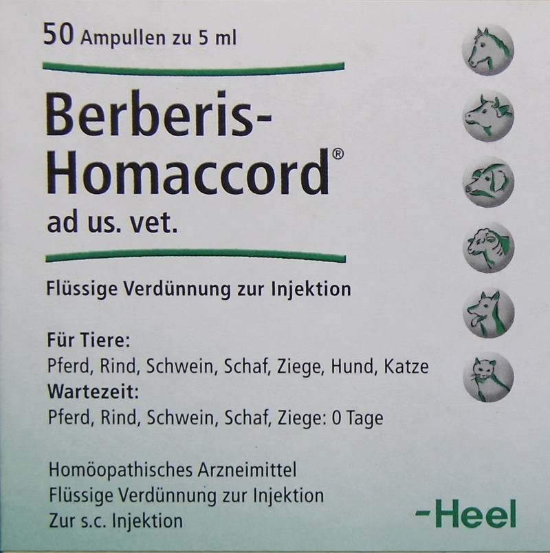 Берберіс гомаккорд хеель berberis homaccord протизапальний для ...